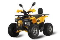 China Customzied Supported Colors Powerful 125 cc Chain Drive Gas Racing ATV for Adults for sale