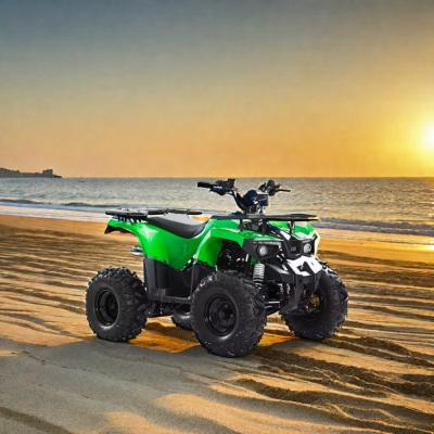 China Automatic Transmission Type Aotong Motor 110cc 125cc 150cc Cuatrimoto ATV for Adults for sale