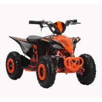 China Brake System Front Disc Rear Disc 36v 48v 60v 1000w Electric Atv for Kids or Adults for sale