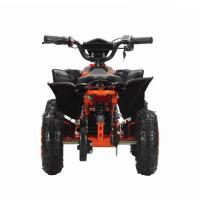 China Brake System Front Disc Rear Disc 36v 48v 60v 1000w Electric Atv for Kids or Adults for sale