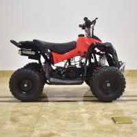 China 1 Cylinder 49CC ATV with Unequipped Differential Lock for sale