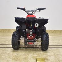 China 1 Cylinder 49CC ATV with Unequipped Differential Lock for sale