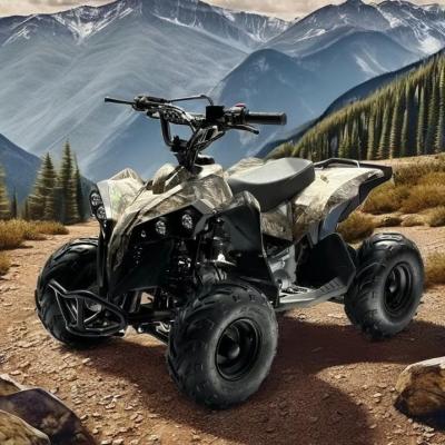 China Gas Fuel 110CC ATV Powered by Chain Drive Transmission System for sale