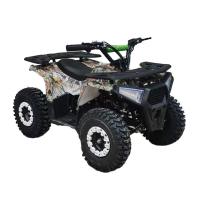 China Powerful 125cc Gasoline Adult ATV Quad Bike with 12V Voltage and Curb Weight of 100-200kg for sale