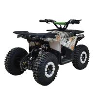 China Powerful 125cc Gasoline Adult ATV Quad Bike with 12V Voltage and Curb Weight of 100-200kg for sale