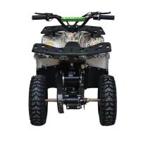 China Powerful 125cc Gasoline Adult ATV Quad Bike with 12V Voltage and Curb Weight of 100-200kg for sale