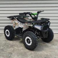China 125CC ATV 4 Wheeler Quad Motorcycle with 8inch Tyre and Front Disc Rear Disc Brake System for sale