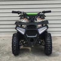 China 125CC ATV 4 Wheeler Quad Motorcycle with 8inch Tyre and Front Disc Rear Disc Brake System for sale