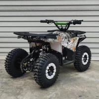 China 125CC ATV 4 Wheeler Quad Motorcycle with 8inch Tyre and Front Disc Rear Disc Brake System for sale