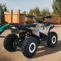 China 4-Stroke Engine Gas Powered Kids Quad Bike ATV 110cc 125cc 150cc Four Wheeler with CE for sale