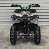 China 4-Stroke Engine Gas Powered Kids Quad Bike ATV 110cc 125cc 150cc Four Wheeler with CE for sale