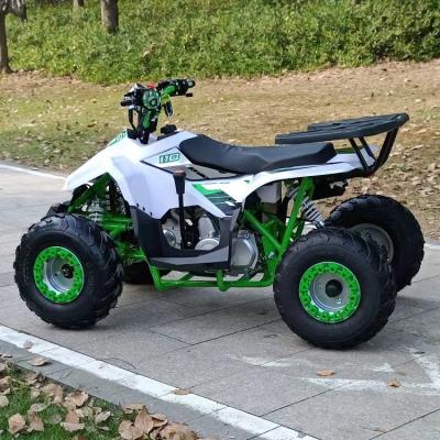 China Front Drum and Rear Disc Brake 4 Stroke Off-Road Vehicle with Chain Drive Transmission for sale