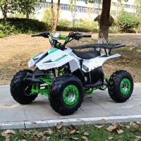 China Front Drum and Rear Disc Brake 4 Stroke Off-Road Vehicle with Chain Drive Transmission for sale