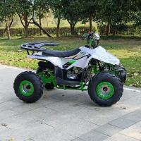 China Front Drum and Rear Disc Brake 4 Stroke Off-Road Vehicle with Chain Drive Transmission for sale