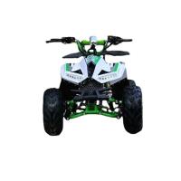 China Front Drum and Rear Disc Brake 4 Stroke Off-Road Vehicle with Chain Drive Transmission for sale