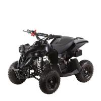 China Mini ATV 49cc Quad Bike for Kids and Adults Fuel Gas/Diesel Unequipped Differential Lock for sale