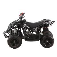China Mini ATV 49cc Quad Bike for Kids and Adults Fuel Gas/Diesel Unequipped Differential Lock for sale