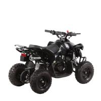 China Mini ATV 49cc Quad Bike for Kids and Adults Fuel Gas/Diesel Unequipped Differential Lock for sale