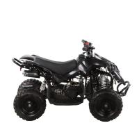 China 49CC 2 Stroke Aluminum Easy Pull Starter CE Approved Kids Quad Bike Tire Size 3.0-4 for sale
