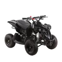 China 49CC 2 Stroke Aluminum Easy Pull Starter CE Approved Kids Quad Bike Tire Size 3.0-4 for sale