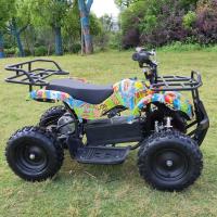 China 500W Mini Quad ATV for Kids 800W 1000W Electric Powered at Transmission CHAIN DRIVE for sale