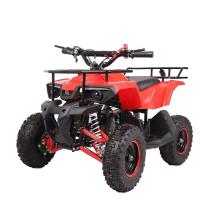 China Mini 50cc Gas Powered Kids ATV 4-Wheeler Quad Bike Motorbikes with Curb Weight ≤100kg for sale
