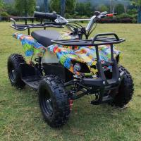China Grade Ability ≥25° Charge Time h 5-7h The Perfect ATV for Kids Electric Buggy 500w 800w for sale