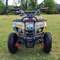 China Grade Ability ≥25° Charge Time h 5-7h The Perfect ATV for Kids Electric Buggy 500w 800w for sale
