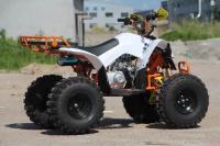 China 150cc 200CC 250CC Automatic Transmission Four-Wheel Off-Road Quad Bike ATV for Mountain for sale