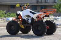 China 150cc 200CC 250CC Automatic Transmission Four-Wheel Off-Road Quad Bike ATV for Mountain for sale