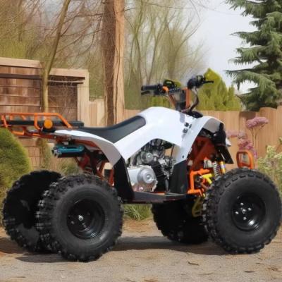 China 110cc-125cc Automatic ATV for Adults CE Approved 8inch Tire Gasoline Quadbike Big Wheels for sale