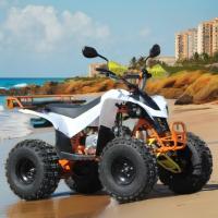 China 125/150cc Four-Wheel Utility ATV Front drum Rear disc Brake System for Farming Needs for sale