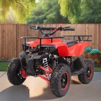 China 49CC Mini Quad with Low Fuel Consumption Maximum Torque Nm ≤20Nm Fuel Gas / Diesel for sale