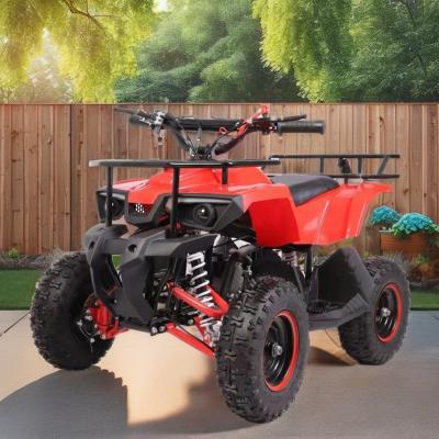 China 49CC Mini Quad with Low Fuel Consumption Maximum Torque Nm ≤20Nm Fuel Gas / Diesel for sale