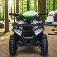 China Gas Off-Road Adults 2x4 ATV with 110cc-150cc Engine and Maximum Speed≤50Km/h for sale