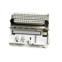 China KOYO Z-CTIF COUNTER MODULE 12-24V-DC for sale