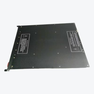 China TRICONEX 9763-110 PULSE INPUT PANEL for sale