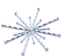 China Spiral Steel Galvanized Concrete Nails 45#/55# Carbon Steel Construction Fasteners 10 Ton MOQ for sale