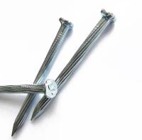 China High Carbon 55# Steel Concrete Nails 3/4