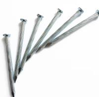 China High Carbon 55# Steel Concrete Nails 3/4