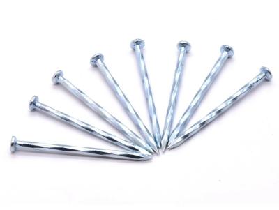 China 55# Carbon Steel Galvanized Concrete Nails - 10 Ton MOQ, 20-25 Day Delivery for Construction Applications for sale