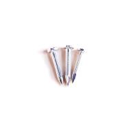 China 25mm Electro Glavanized Steel Concrete Nails With Wide Flat Head for sale