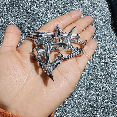 China Electro Galvanized Steel Nails 14mm-150mm Size Range with High Carbon 55# Steel Construction for Building and Carpentry for sale