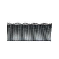 China ST38 Galvanized Row Nails 1000-Pack - Electro-Galvanized Brad Nails for Framing and Construction for sale
