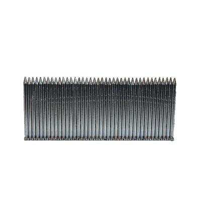 China ST38 Galvanized Row Nails 1000-Pack - Electro-Galvanized Brad Nails for Framing and Construction for sale