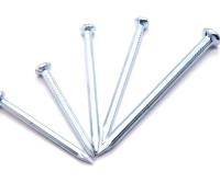 China ODM Galvanized Silver White Concrete Nail For Building Construction for sale
