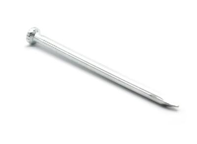China White Galvanized High Carbon 55# Steel Concrete Nails 3/4 to 6 Inch for Cable Clip for sale
