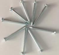China Concrete 1 Inch - 6 Inch Steel Nails Galvanized Surface Customized for sale