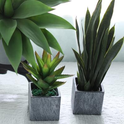 China Custom Real Touch Mini Artificial Succulent Plant 35cm With Pot Home Decor for sale