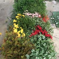 China Amazon Hot Artificial Plants Landscape Plants Wall Decoration Bonsai Plants for sale